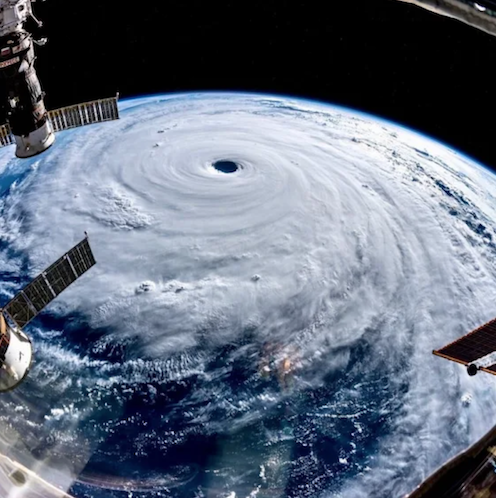 About me - Ziwei Yang / Personal Webpage